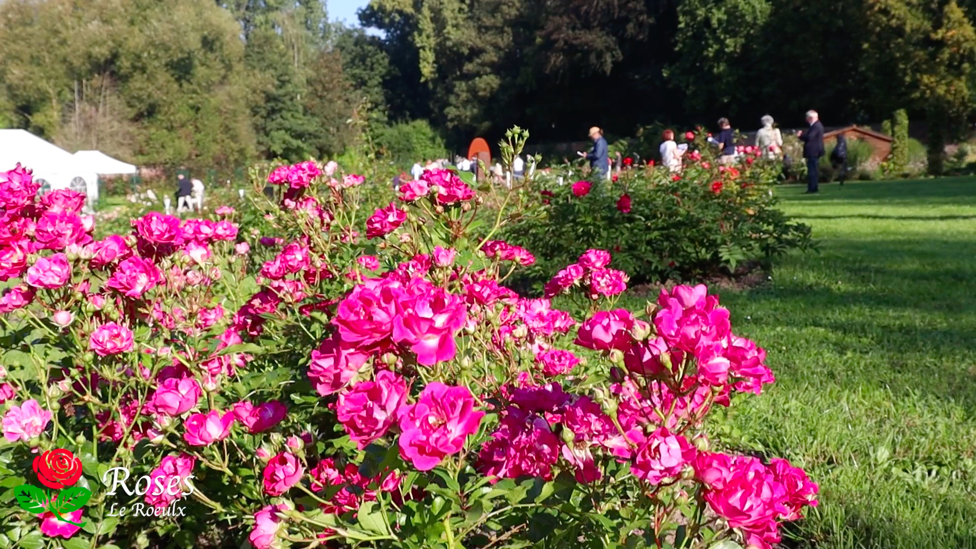 Présentation vidéo du Concours 2022 - Jardins des Roses